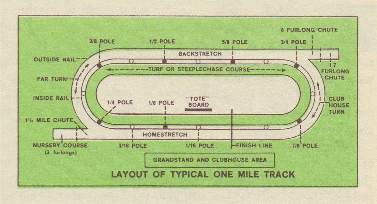 Horse Race Track Layout