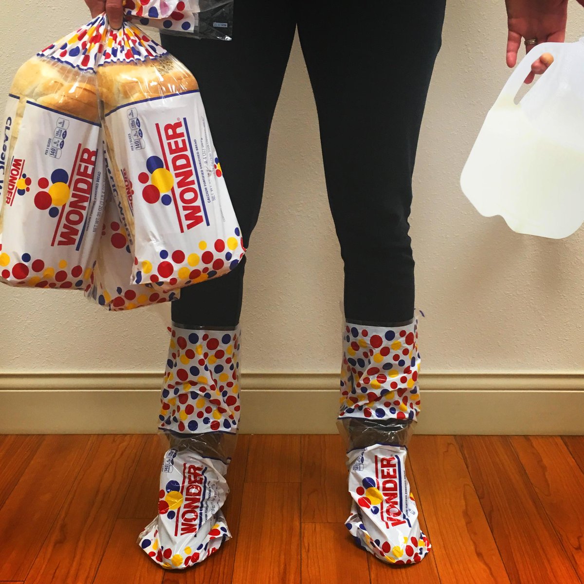 Wonder Bread Bag