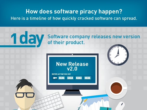 Software Piracy Infographic