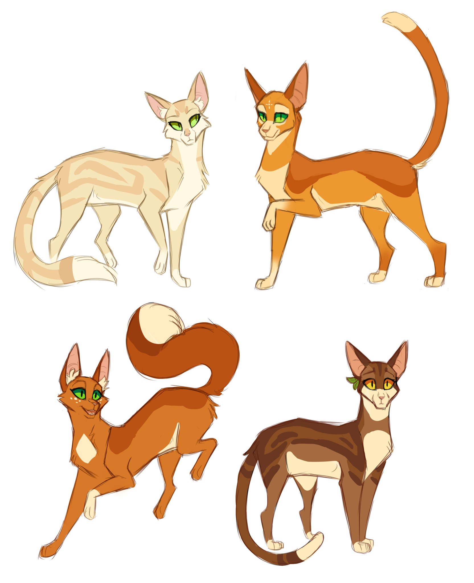 Warrior Cats Firestar And Sandstorms Kits