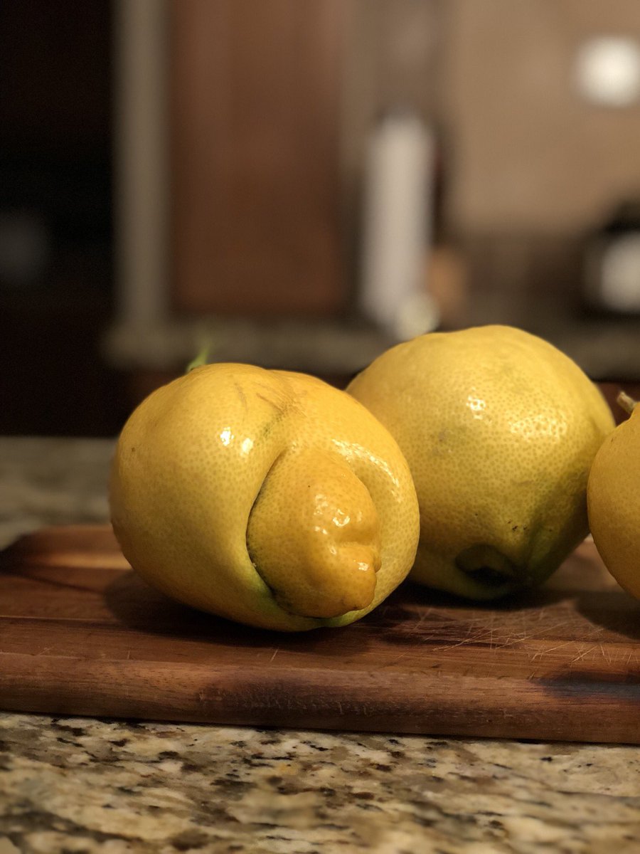 Help my lemon is growing a Clitorus Maximus | BOY CHAD | Scoopnest