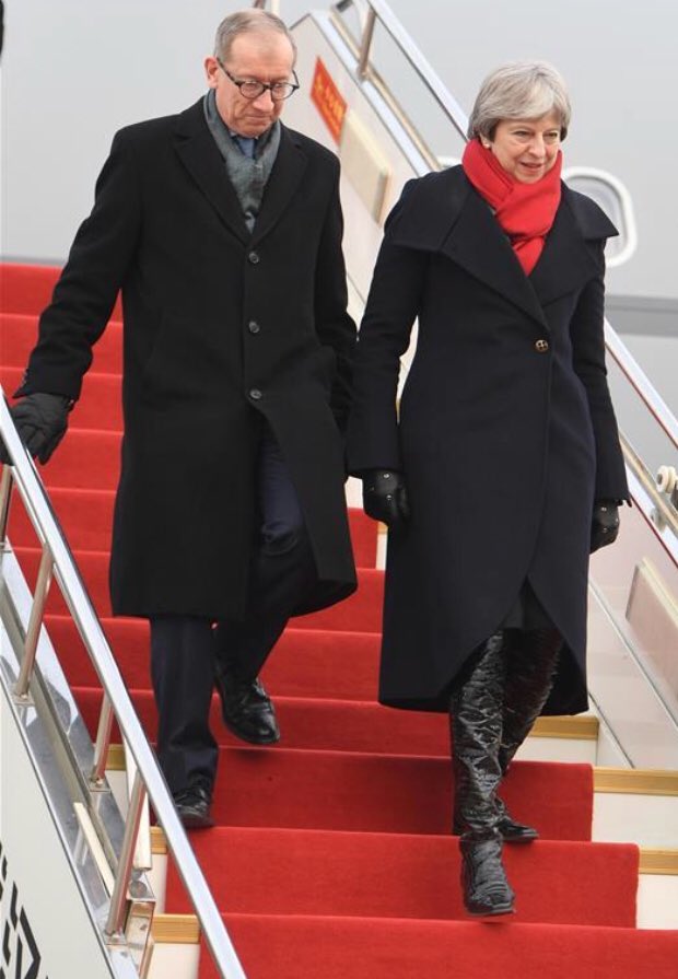 Woman takes emotional support peacock on plane | Jane Merrick | Scoopnest