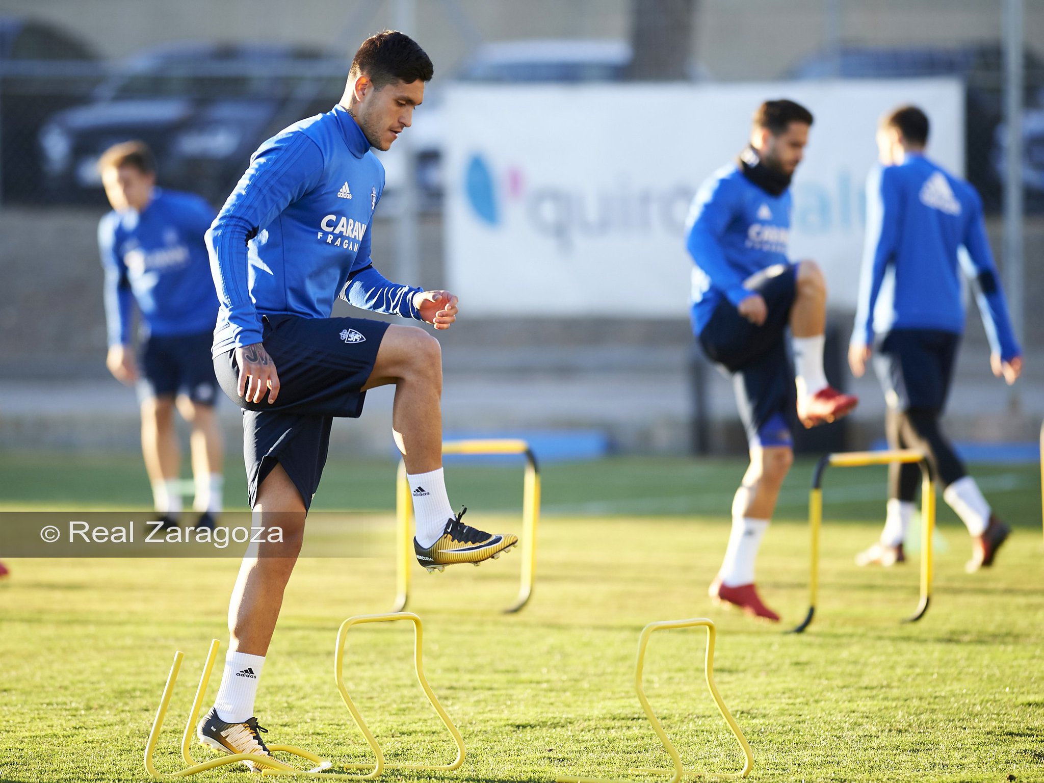 Real Zaragoza 🦁🤍💙 on Twitter: Real Zaragoza 🦁🤍💙 on Twitter: