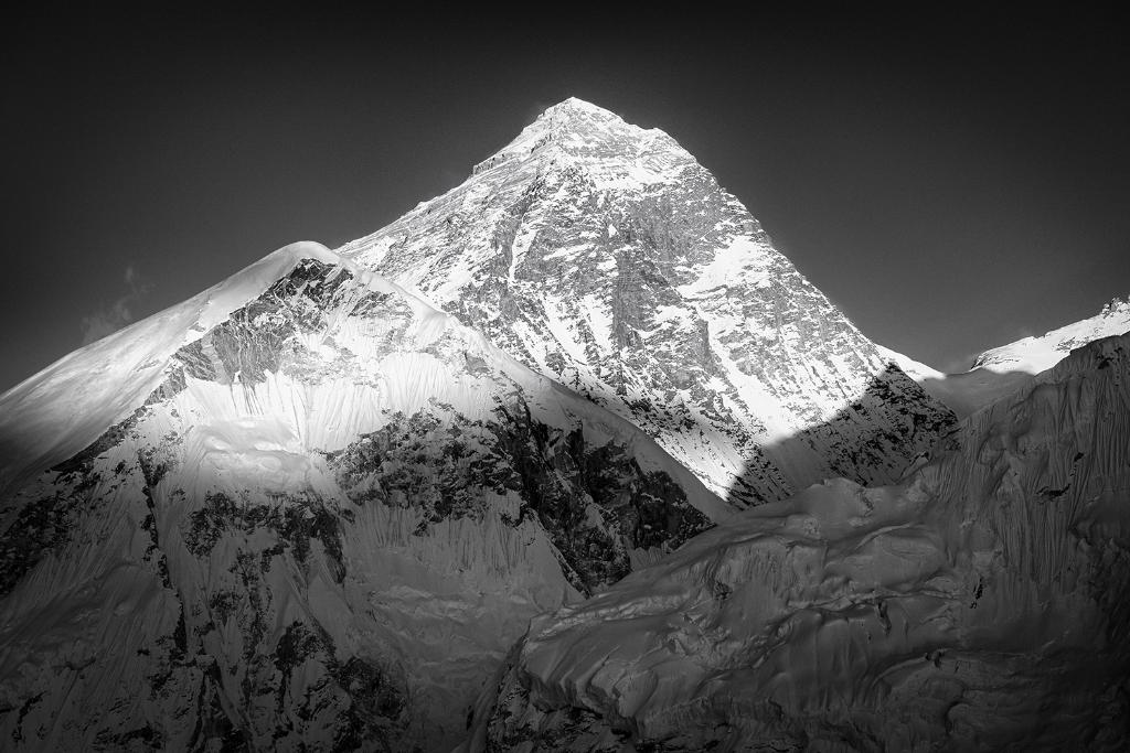 PixelPluck (@pixelpluck) | Twitter