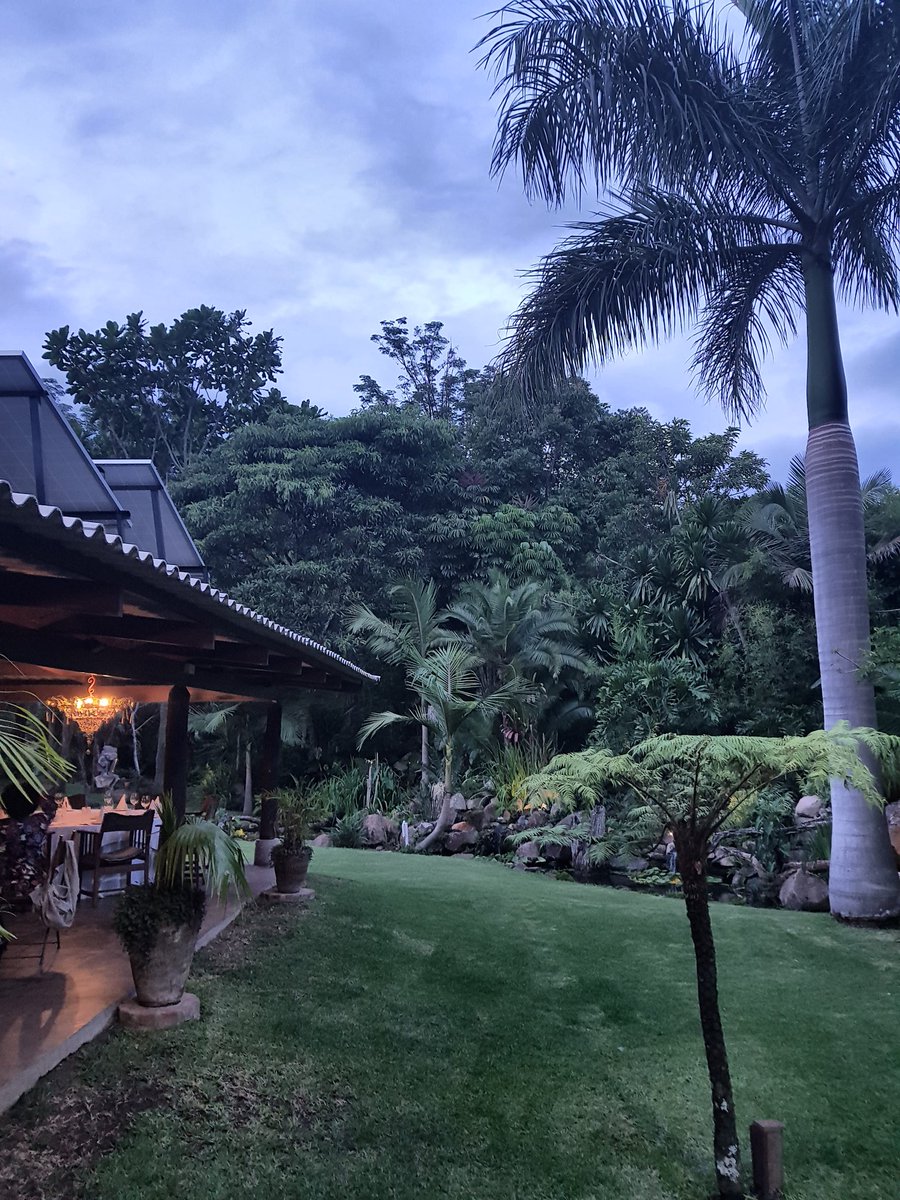 Mbuso Mpofu (@mpofuvic7) | Twitter