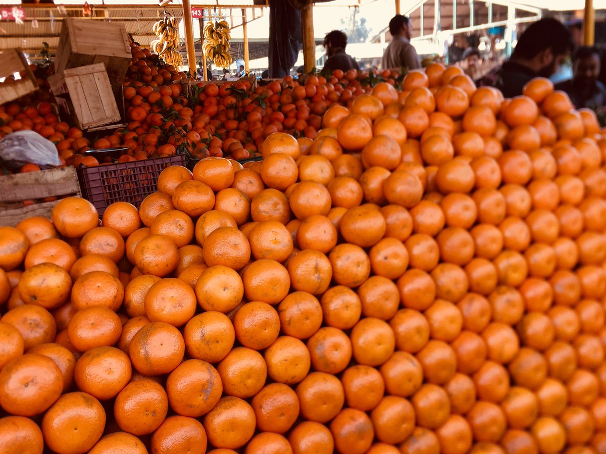 If you live in Pakistan’s capital, pls do taste this fruit—‘Orange ...