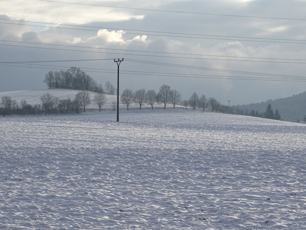 Libor Marek (@marek_libor) | Twitter