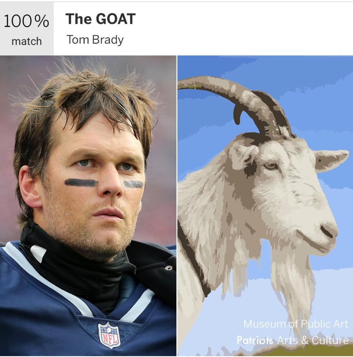 21 best Twitter u/charissat images on Pholder | ️