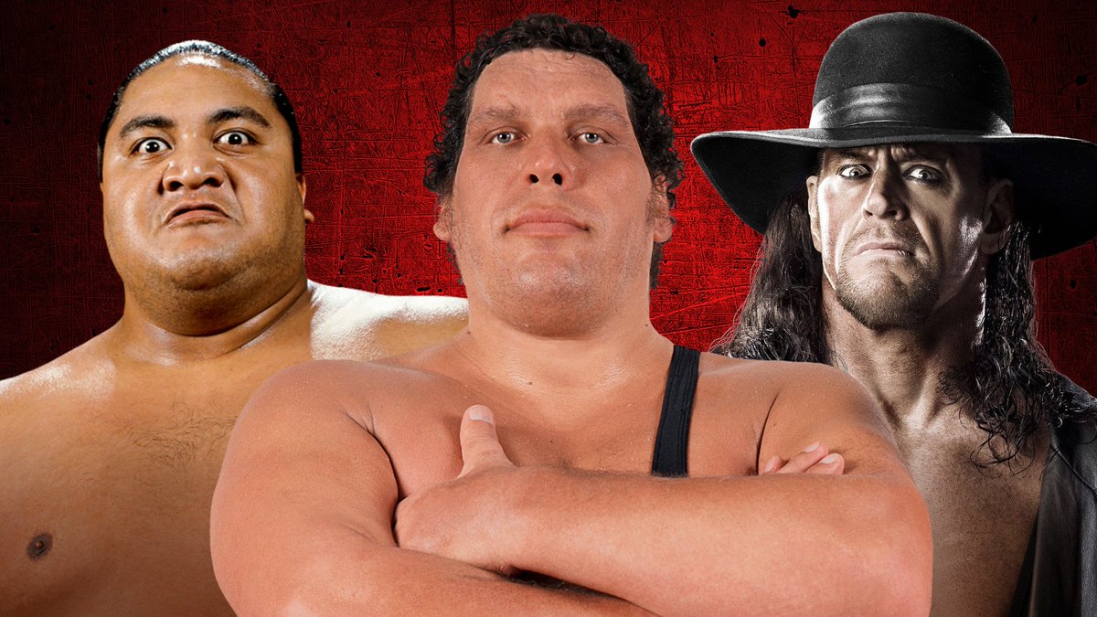 Andre The Giant Vs Undertaker