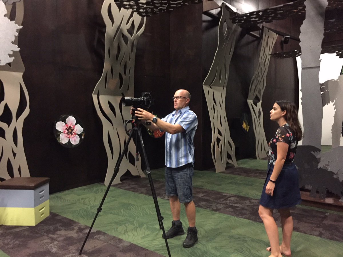 Dan Waugh (@nzdanwaugh) | Twitter