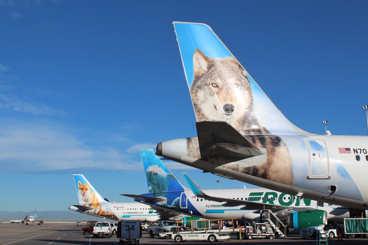 Frontier Airlines Animals