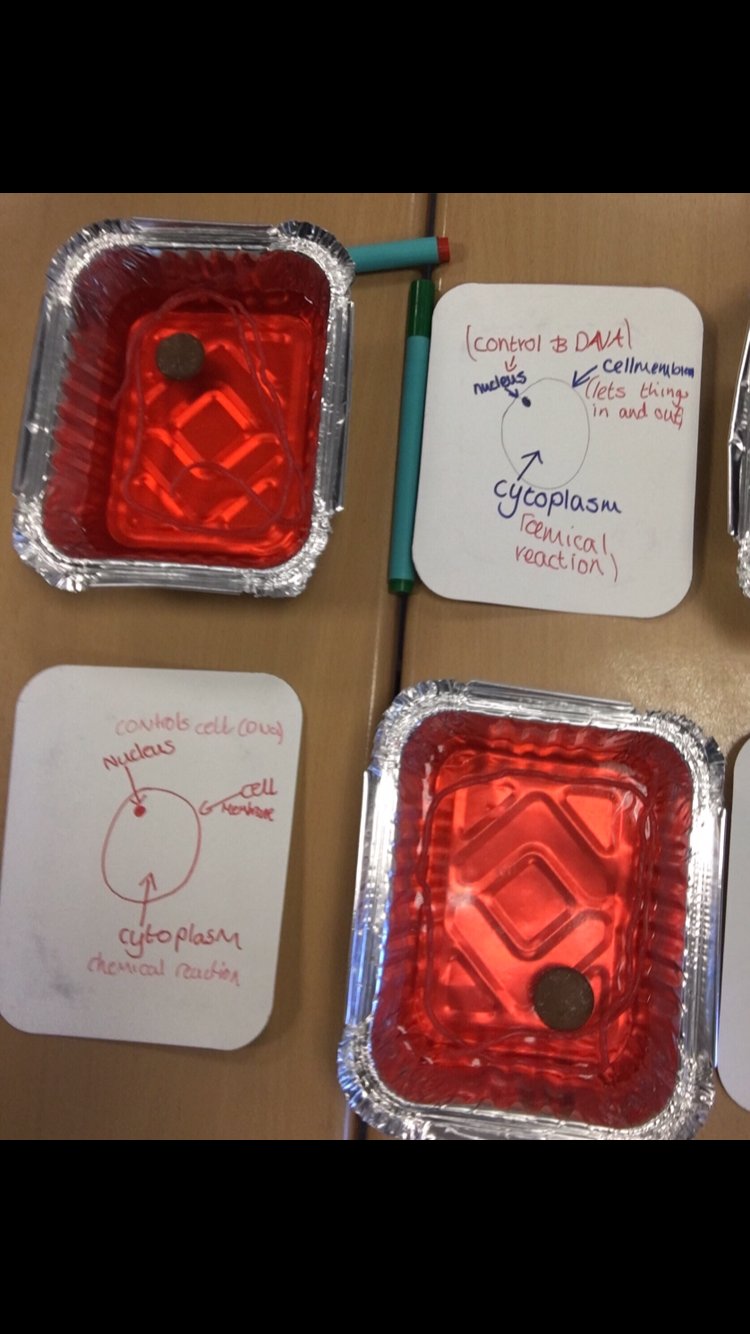 Govan High School on Twitter: "S1 science used jelly and sweets to make ...