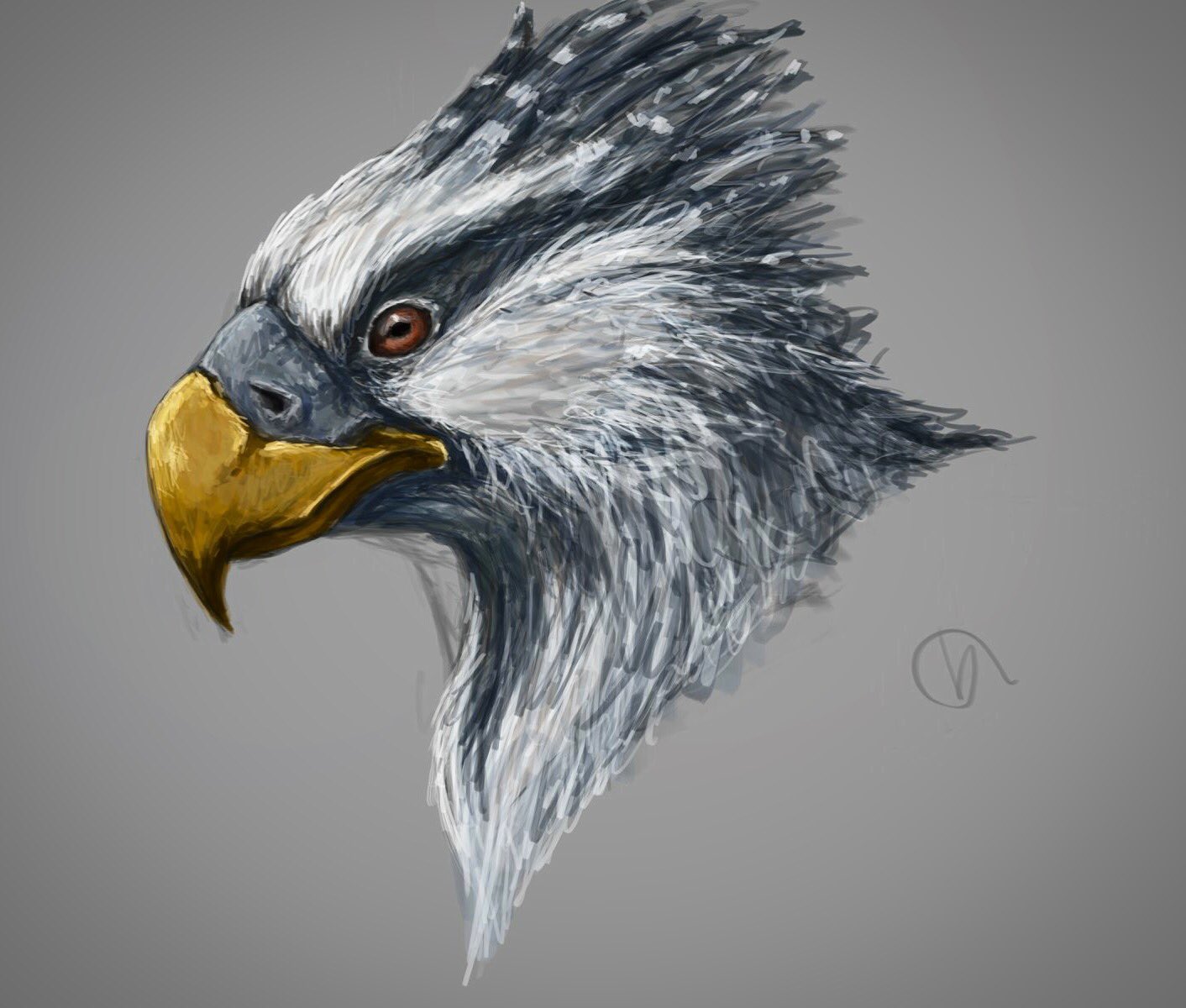 Pencil Drawings Of Griffins