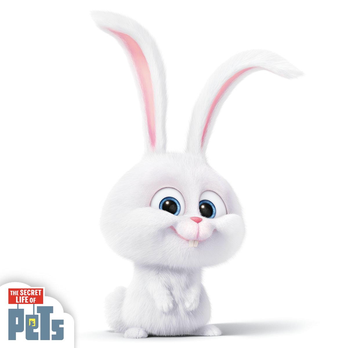 The Secret Life of Pets | Universal Pictures