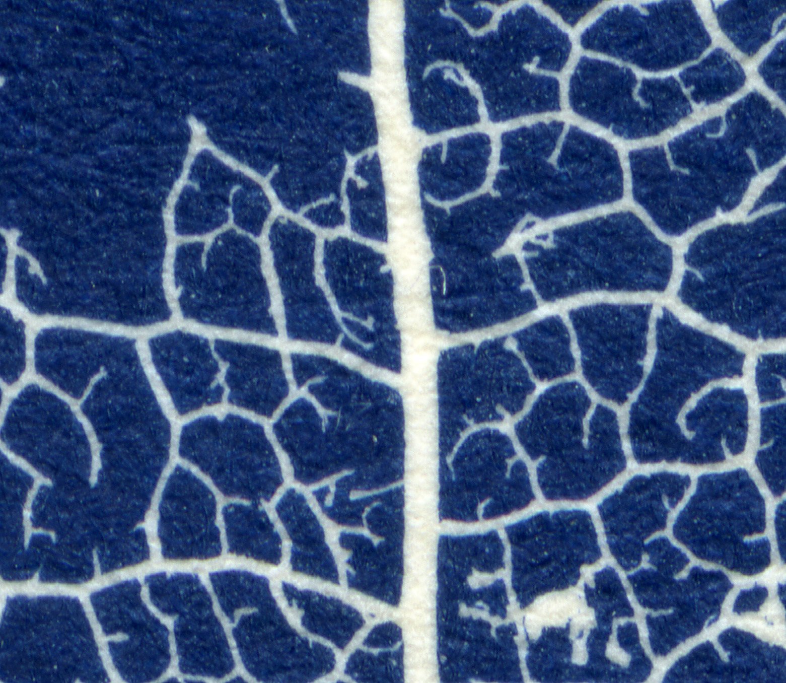 Phototalk random thread