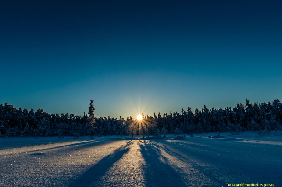 Sofia Nilsson (@soffi77) | Twitter