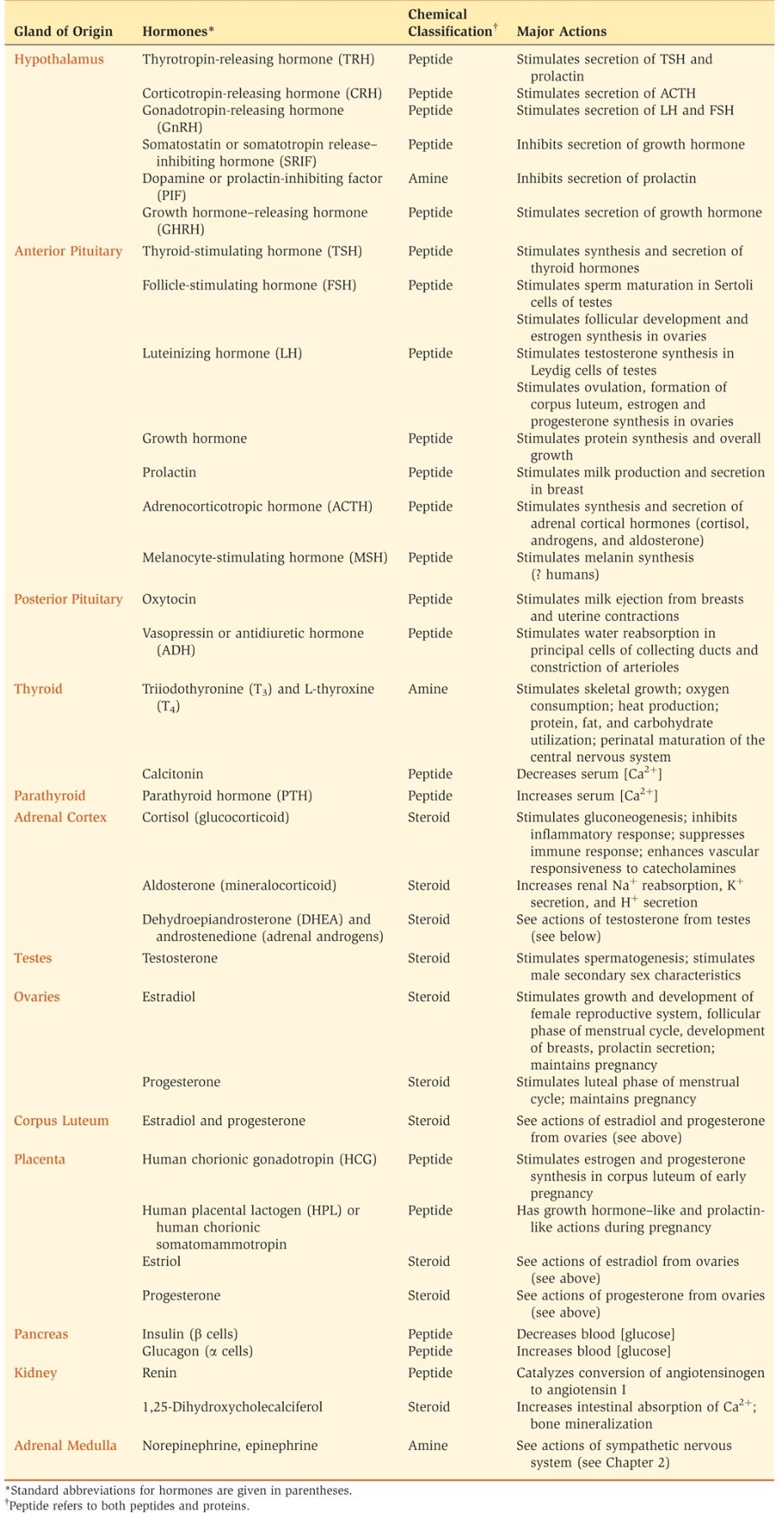 Endocrine System Hormones List Pituitary Gland | Definition, Anatomy,