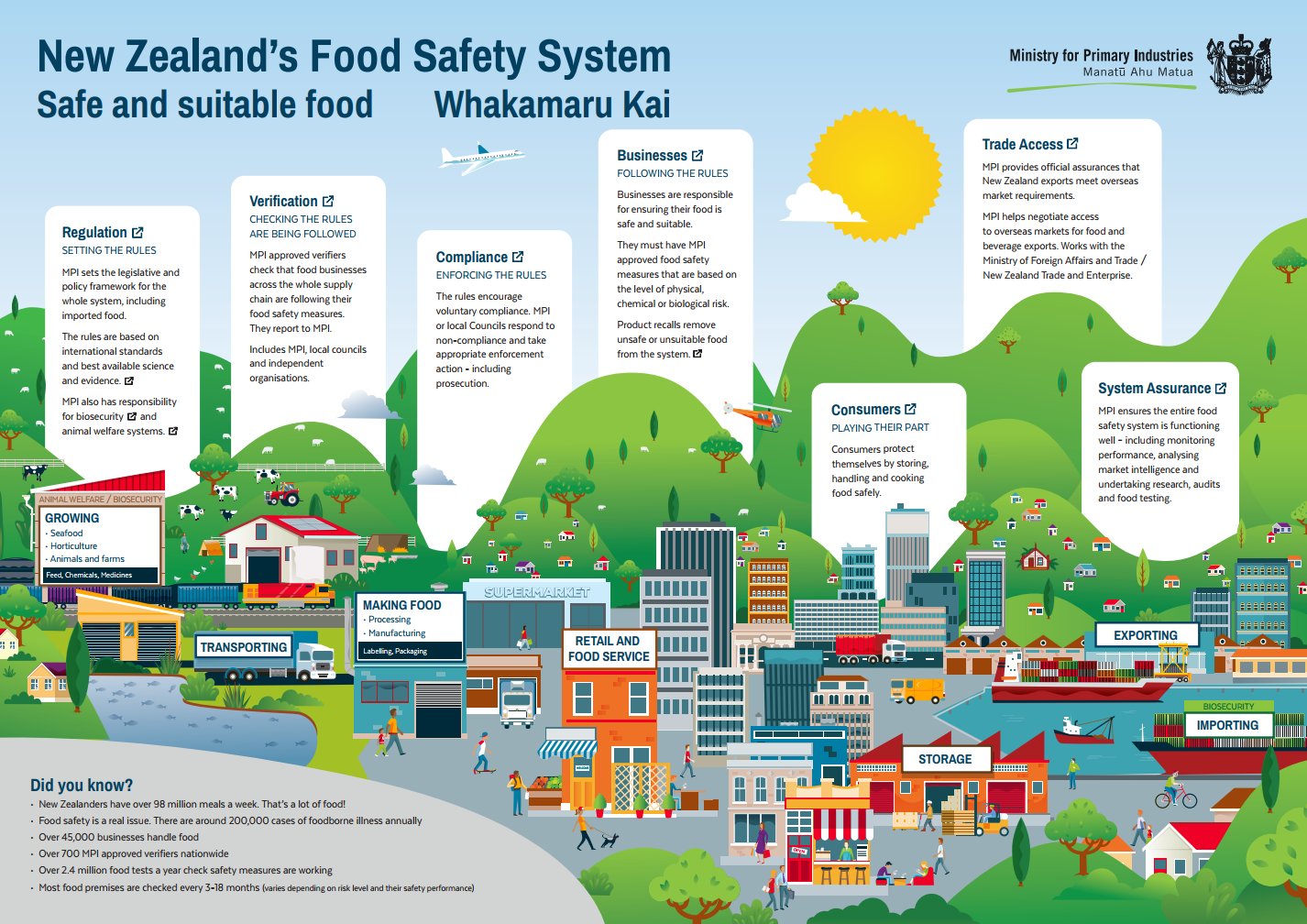 Infographic Design Nz