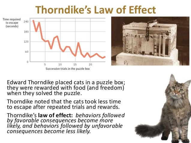 Thorndike Law Of Effect
