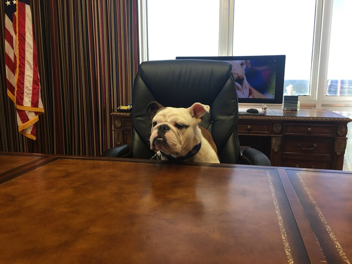 Marshall Schoth (@MarshallSchoth) | Twitter