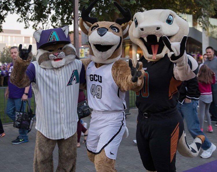 Arizona Rattlers - Indoor Football League