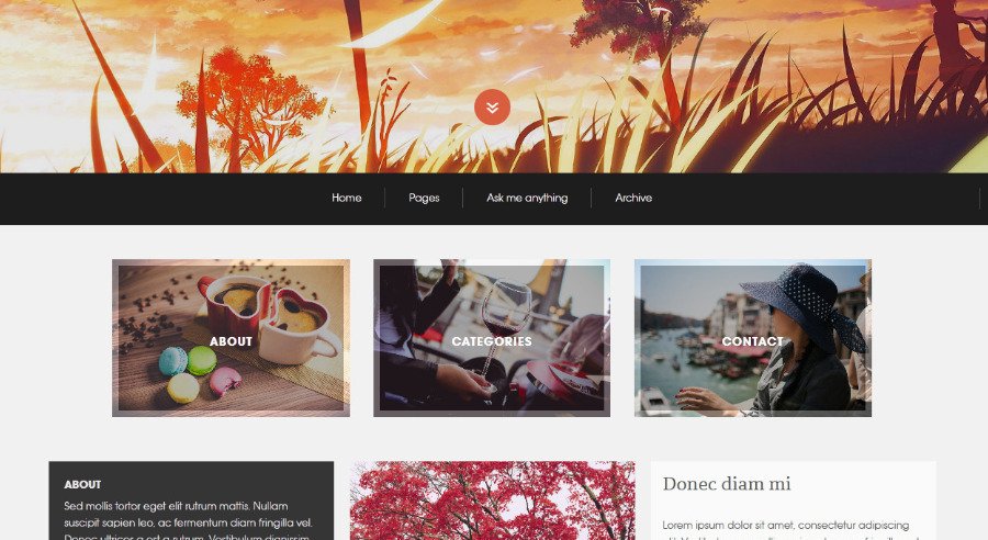 Tumblr Page Graphics