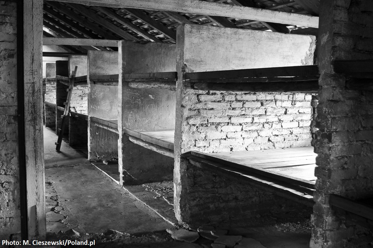 Concentration Camp Bunks