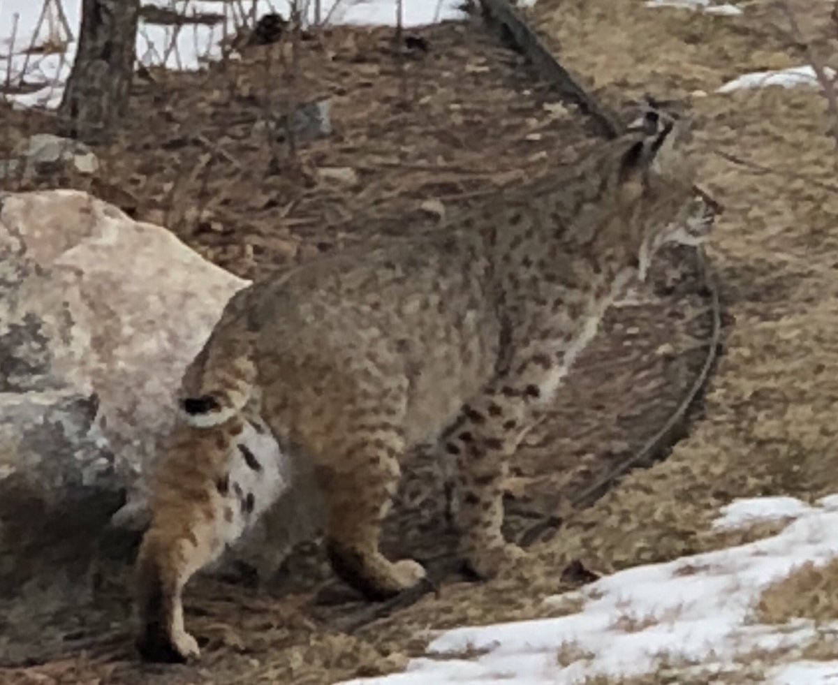 272 best Puddy images on Pholder | Seinfeld, Damianasbunnies and ...