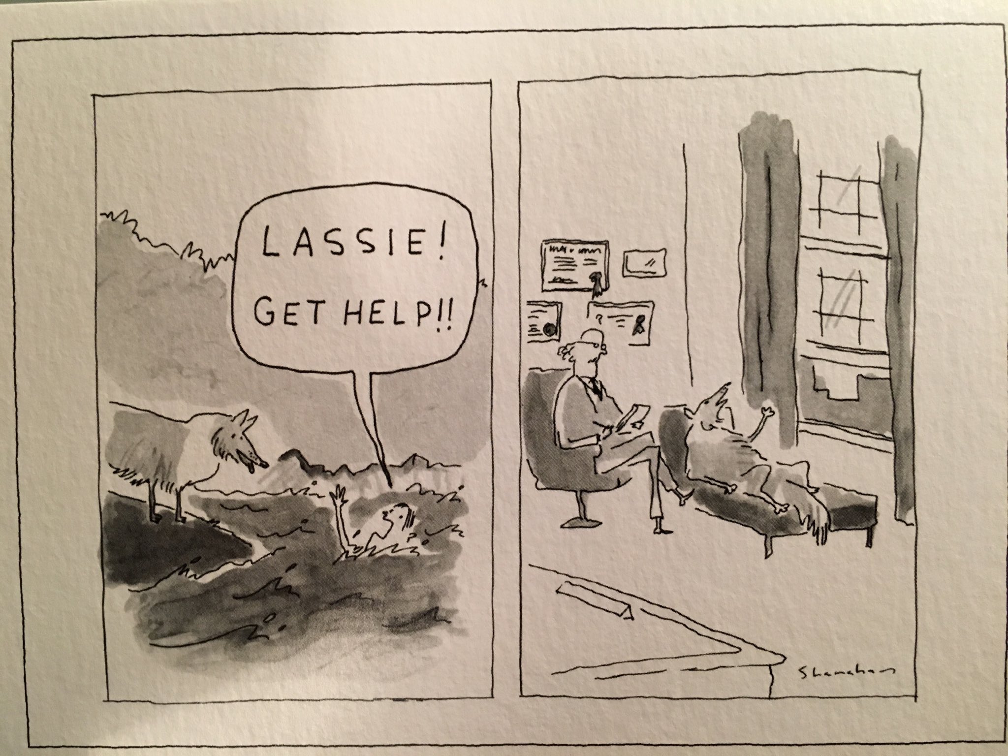 Lassie Get Help Cartoon