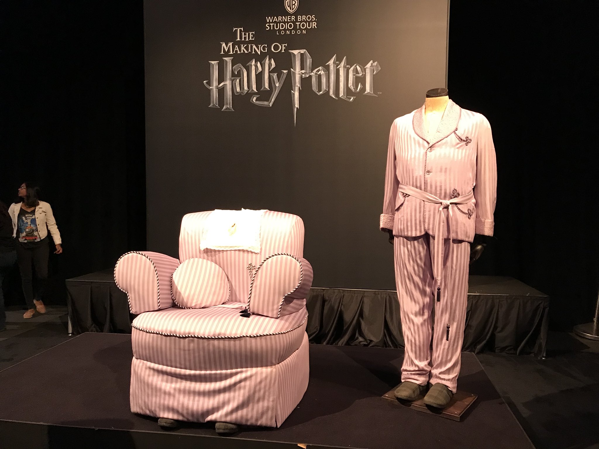 Professor Slughorn Chair