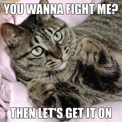 Fight Me Then Meme