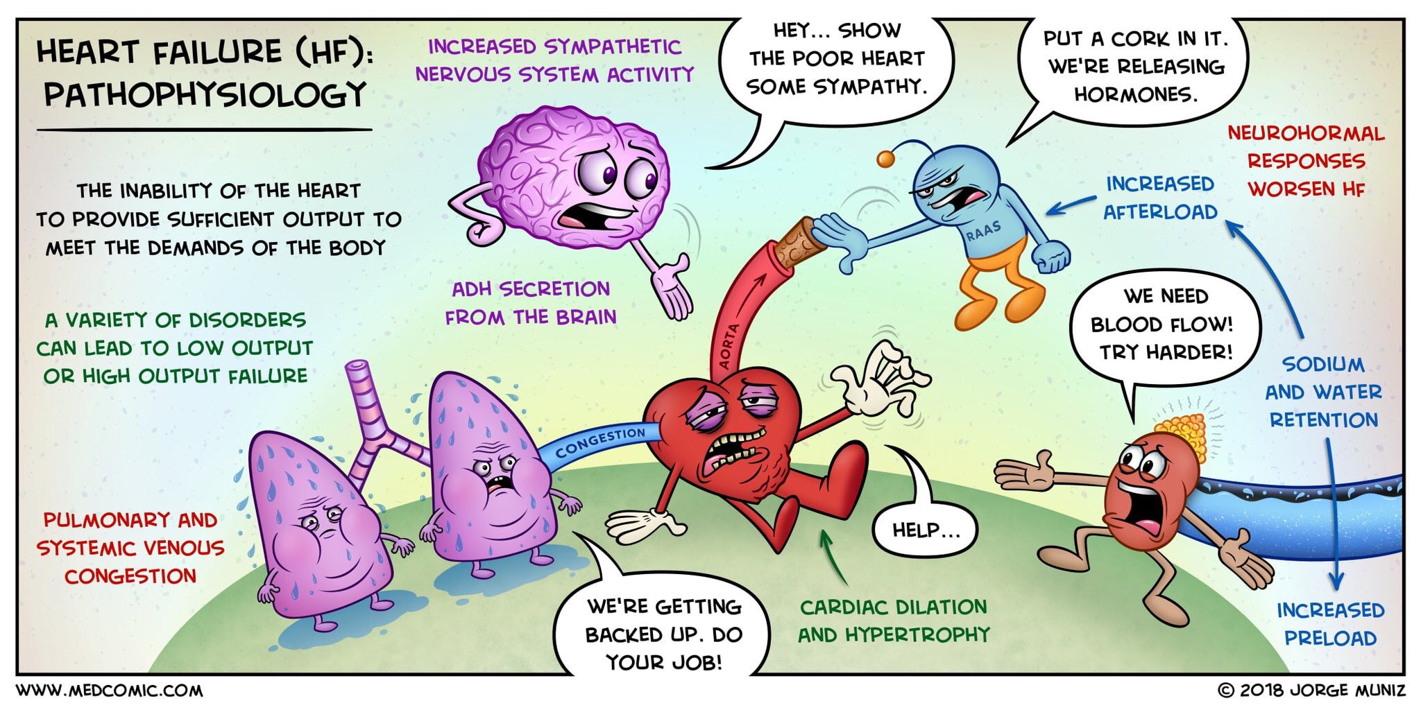 Heart Failure Cartoon Your Health Checkup: Heart Failure And The Four