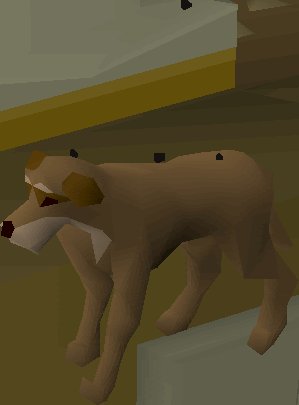 Where Is The Stray Dog In Varrock