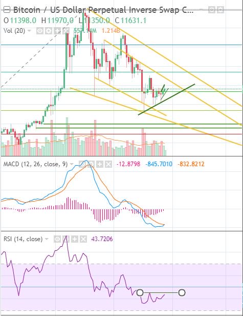 Cryptoctopus (@Cryptoctopus0) | Twitter
