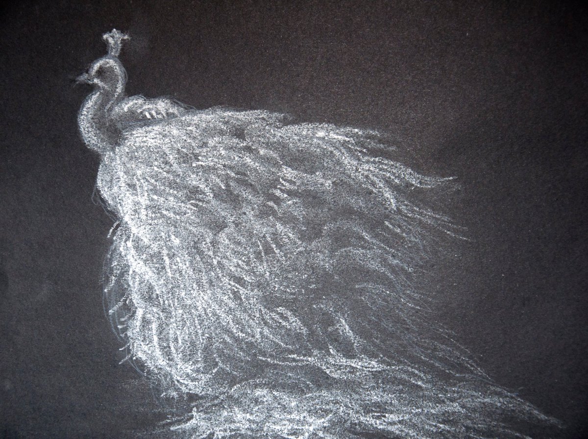Chalk Drawings On Paper
