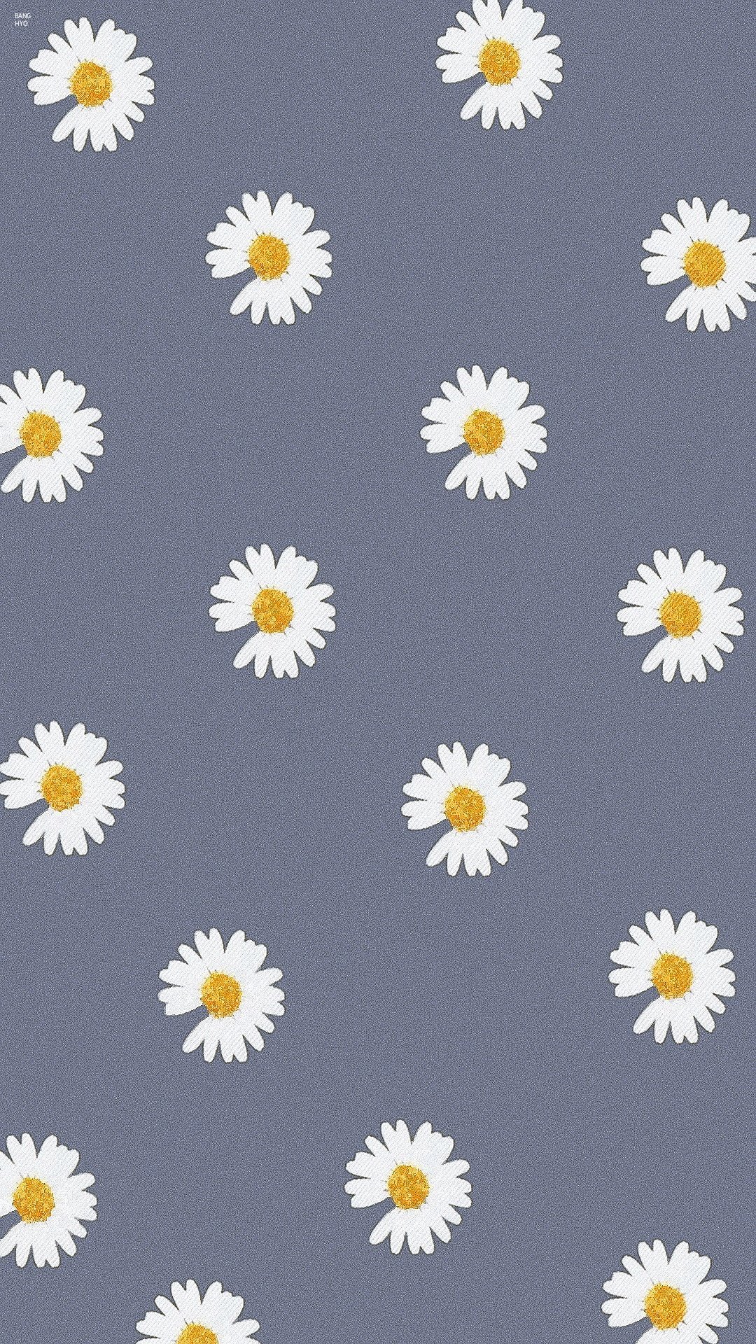 𝑩𝑨𝑵𝑮 𝑯 On Twitter 저장시 Rt Bigbang 배경화면 🌼 1 Peaceminusone 피마원