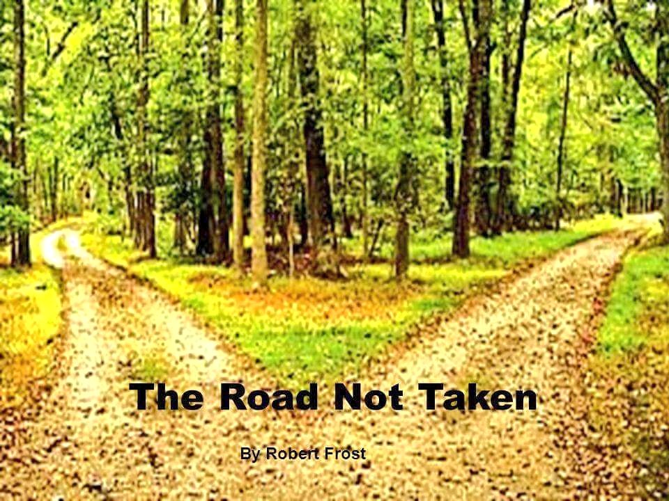 Undergrowth The Road Not Taken