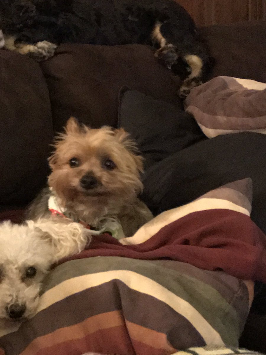 Kerry Dee Davenport (@kadydee) | Twitter