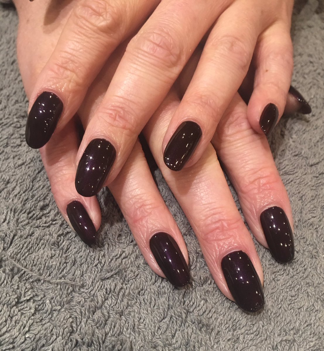 Shellac Plum Paisley