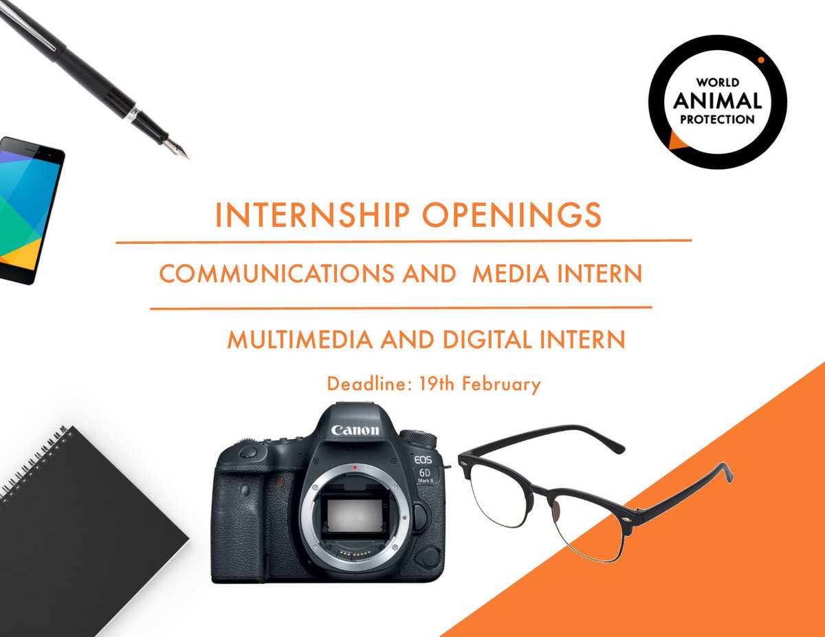 Communication And Media Intern Job Open At Animal Firm - Youth Village ...