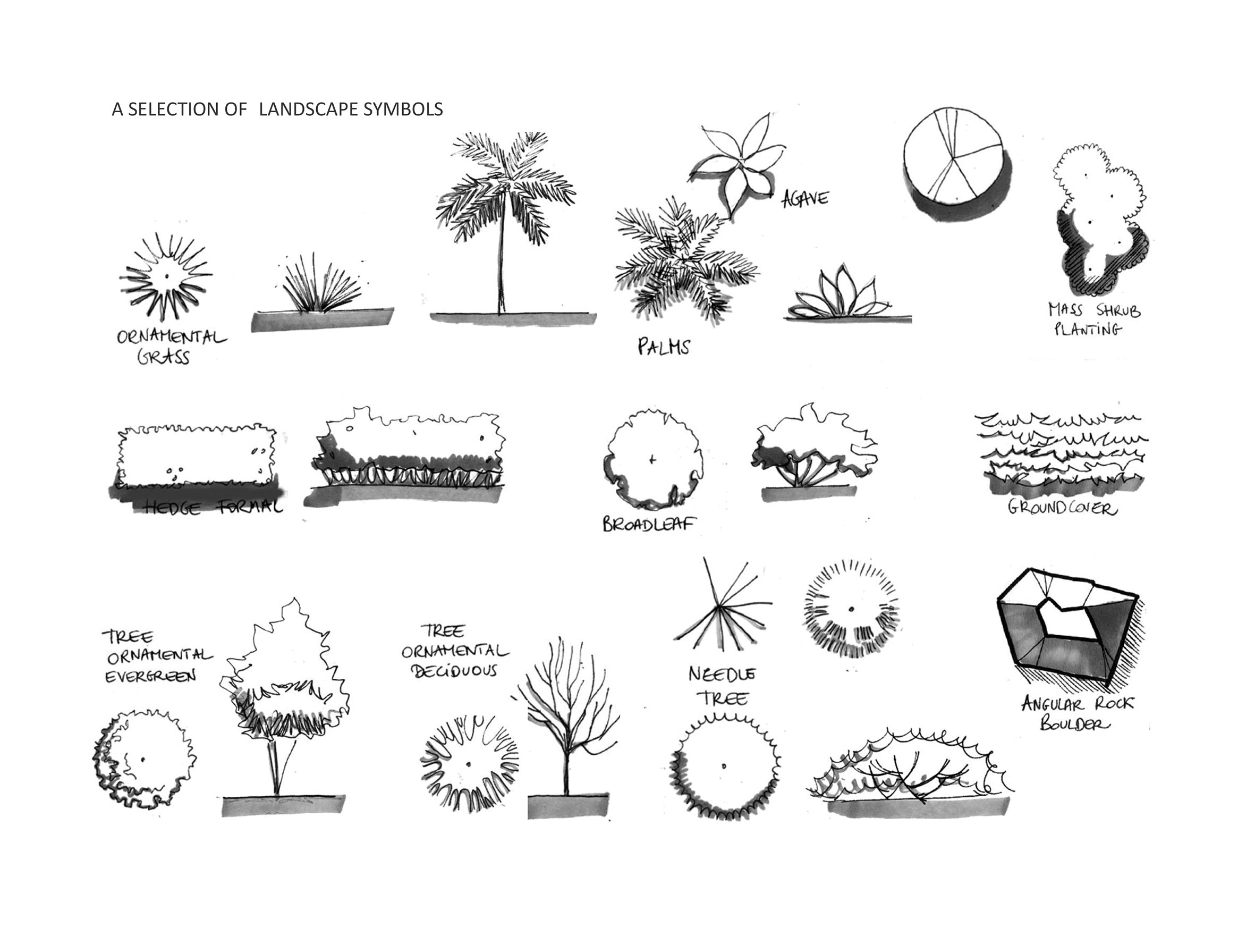 Garden Design Drawing Symbols