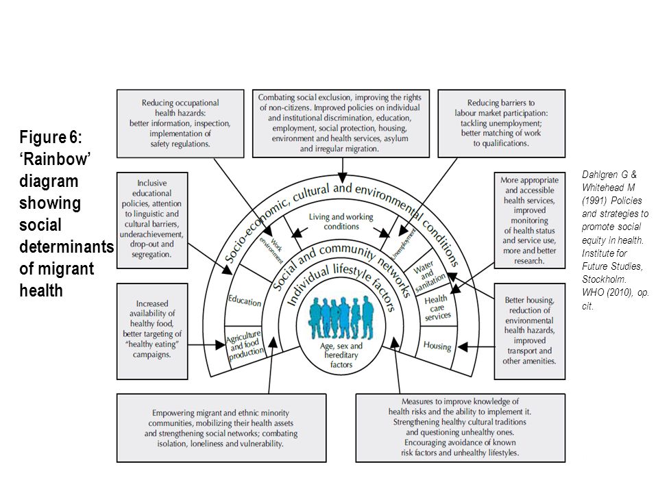 Dahlgren And Whitehead 1991 Model Of The Determinants Of Understanding
