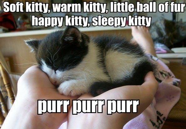 Soft Kitty Warm Kitty