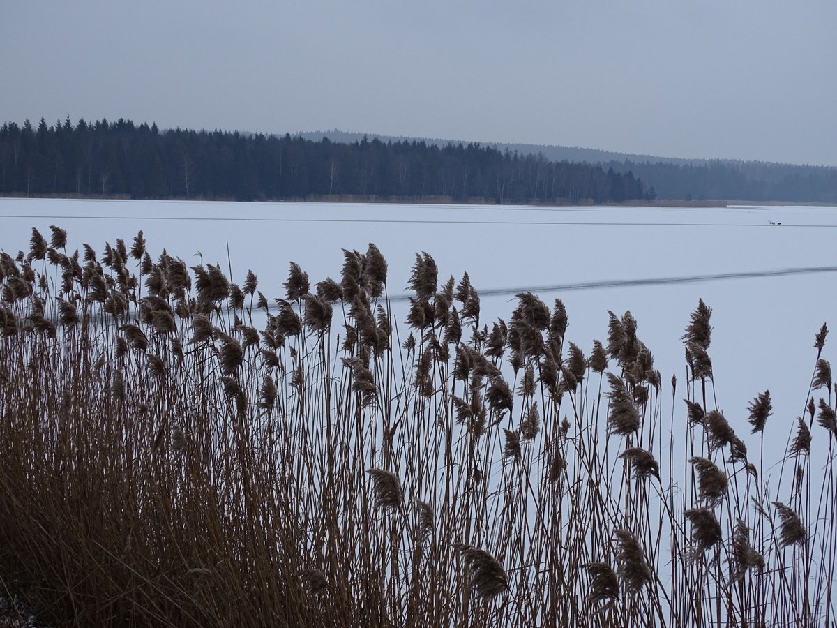 Libor Marek (@marek_libor) | Twitter