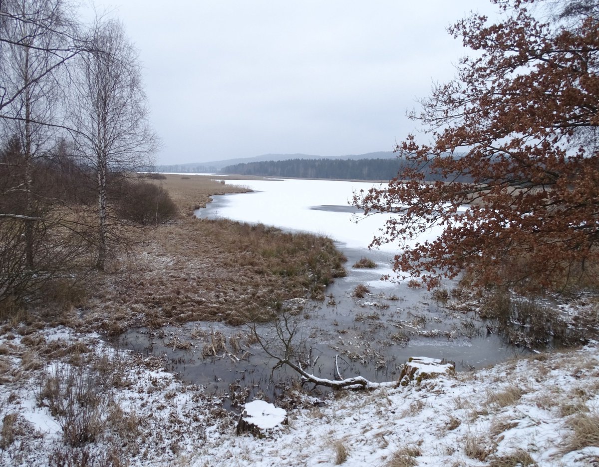 Libor Marek (@marek_libor) | Twitter