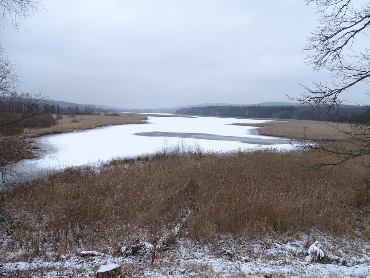 Libor Marek (@marek_libor) | Twitter