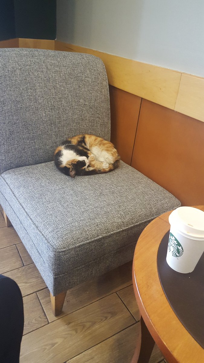 huseyin battal (@huseyinbattal) | Twitter