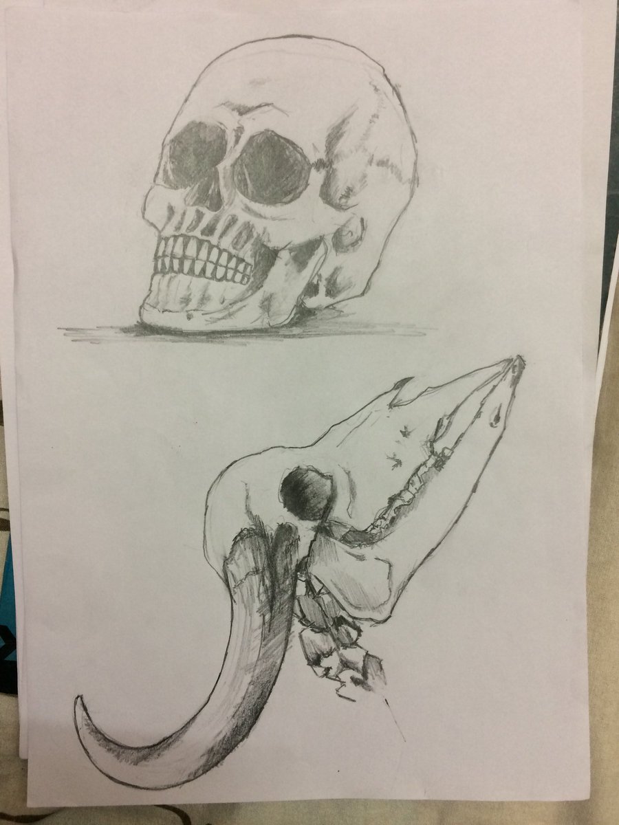 Sovon Halder (@sovonhalder) | Twitter