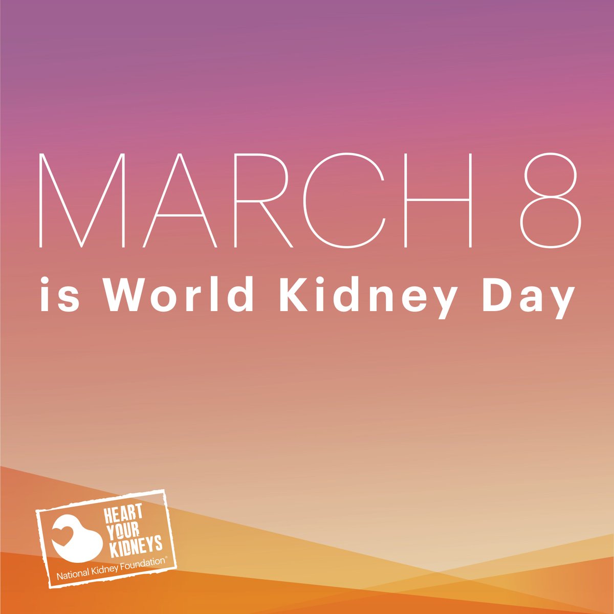 Alan's Kidney Quest (@AlanKidneyQuest) | Twitter