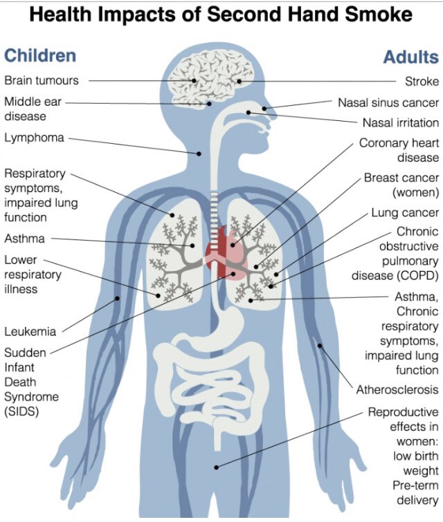 Second Hand Smokers Lungs